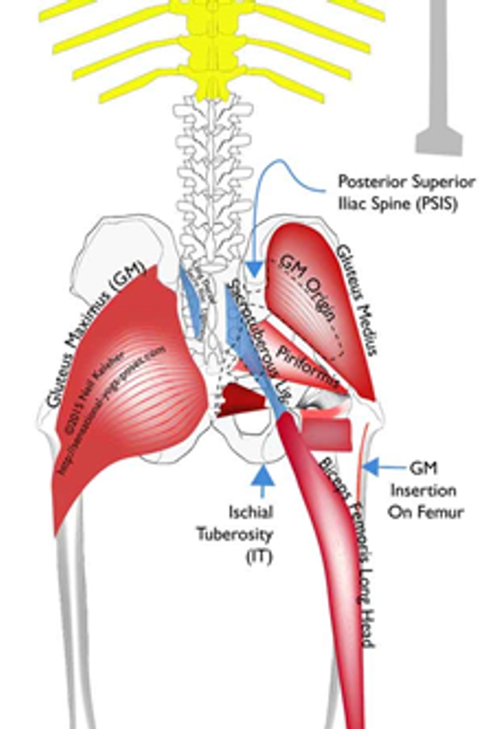 Križnica in trtica - poškodbe in rehabilitacija